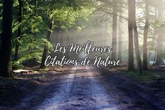 🌿 50 meilleures citation nature : inspirations, émotions et beauté du ...