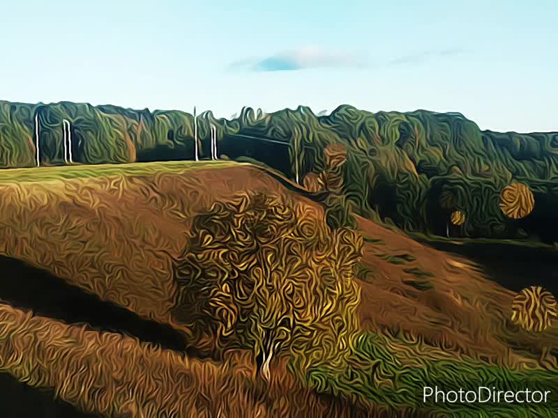 Tree leafing | Photo Animation Contest｜User Gallery｜CyberLink