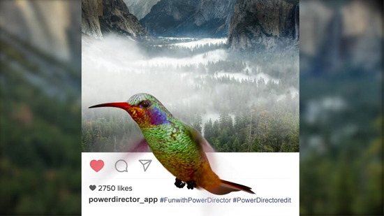 PowerDirector Mobile Tutorials | The CyberLink Learning Center